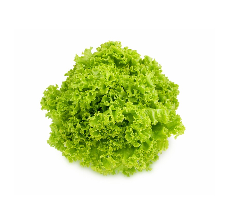 Rich-NutriGro